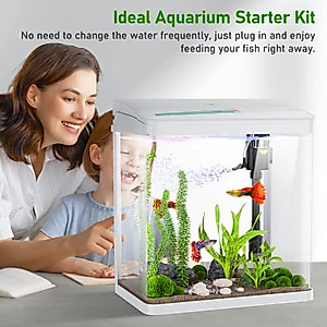 PONDON 8 Gallon Fish Tank, Glass Aquarium Starter Kit, Includes Filter and LED Lighting (White, 8Gallon)
