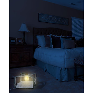 36 Pcs Flea Trap Refill Glue Boards for Terro T230 T231 Indoor Flea Light Traps, 6" Replacement Sticky Pads Fits Square Flea Bed Bug Traps for Inside Your Home