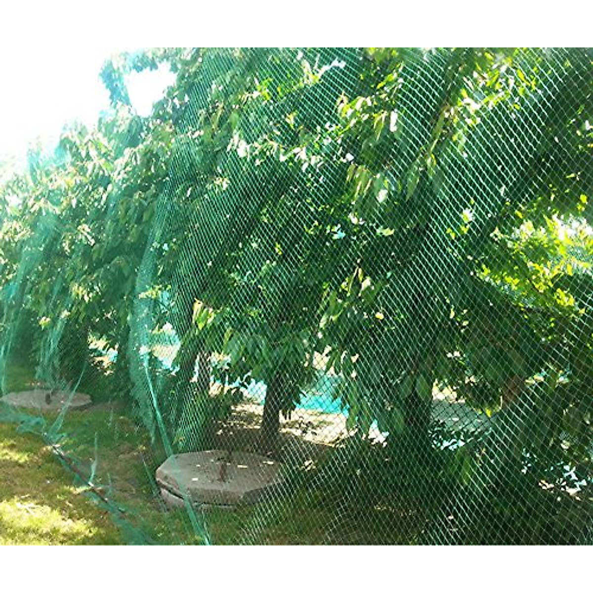 CandyHome Bird Netting for Garden,13Ft x 33Ft Reusable Garden Netting Plants Barrier, Plant Netting Mesh Net Protect Fruit Trees Seedlings Plants from Birds, Squirrels, Cicadas,Rodents