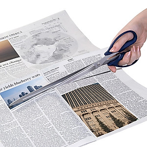 Plus Scissors Scissor (34168)