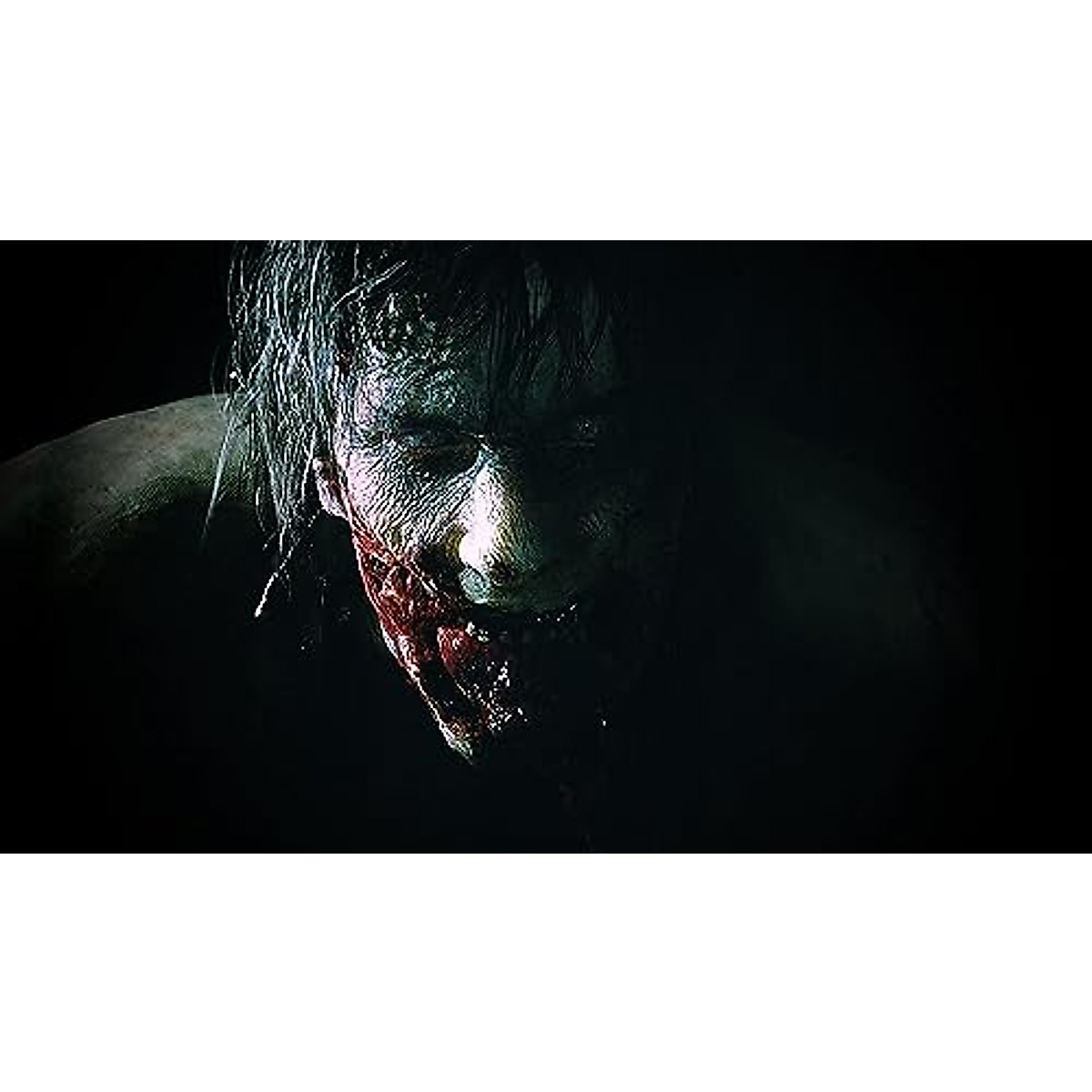 Resident Evil 2 Remake PS4