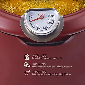 LEPO Deep Fryer Pot, 2.2L Small Japanese Tempura Deep Fryer Pot, With Thermometer,Lid And Oil Drip Drainer Rack,304 Stainless Steel Fryer Pot, for Kitchen French Fries, Fish and Shrimp