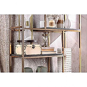 Furniture of America Corley Contemporary 6 Shelf Bookcase, Champagne