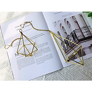 Geometric Hanging Tillandsia Holder Gold Metal Air Plants Holders Hanging for House Decor Living Room,Small Plant Holders Indoor Hanging,Plant Lover Gifts (5Pcs)