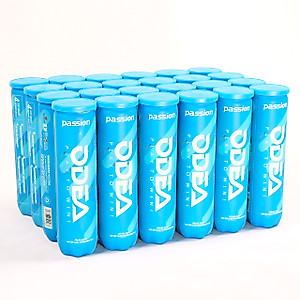 ODEA Passion Tennis Balls,High-Elasticity,Extra Duty for Tennis Training or Competition,ITF Approved Tennis Balls for Adult Competition (1)