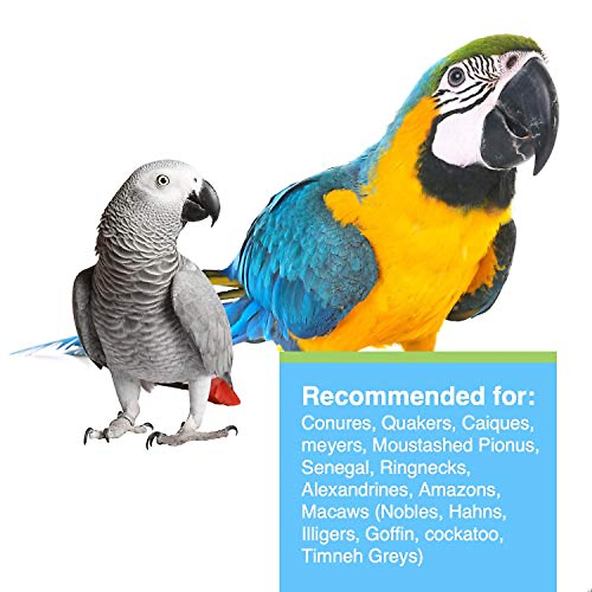 Tropimix Bird Food, Large Parrot Food with Seeds, Fruit, Nuts, Vegetables, Grains, and Legumes, Enrichment Food, 20 lb Bag