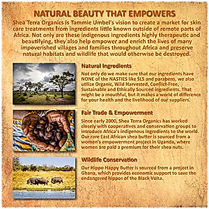 Shea Terra Kigelia Age Defense Collection - After-sun Face Crème | Natural, Anti-Aging Face Cream with Licorice Root, Shea Butter & Aloe for Sun Damage and Clear, Even Skin Tone – 4oz