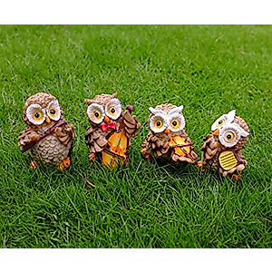SMANSNAY Owl Decor Statue, Home Office Ornaments, Cute Owl Figurines for Home Decoration, Great Owl Gifts for Women, Boys, Girls(Pack of 4)