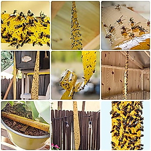 40 Pack Fly Strips Indoor Sticky Hanging, Fly Paper Strips Indoor Hanging, Fruit Fly Traps for Indoors/Outdoors, Fly Trap Fly Catcher Gnat Traps for House Fruit Flies