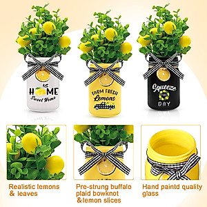 Gerrii 3 Pcs Mason Jar Table Centerpiece Decor Kitchen Decor Fake Plants Garland Wooden Bead Wood Sign for Christmas Summer Farmhouse Home Dining Tiered Tray Table Decoration (Lemon Style)