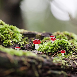 DOITOOL 50pcs Mini Foam Mushroom for Garden Ornament Flower Pots Bonsai Micro Landscape Decor (Red)