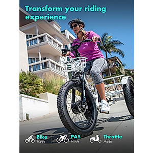 Emojo Electric Tricycle/Fat Tire Caddy Pro Trike, 500W 48V Hybrid Bicycle with Hydraulic Brake, Oversize Rear Cargo and Front Basket for Heavy-Duty Carrying or Delivery (Grey Caddy Pro)