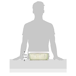 OXO GreenSaver Produce Keeper - Large - Green