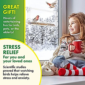 D.F. Omer Window Bird Feeder with 3 Section Tray and Roof Cover, Weatherproof Outdoor Suction Cup Hanger Acrylic Plastic Bird Feeder , Clear