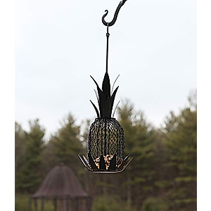 Achal Designs Pineapple Birdfeeder