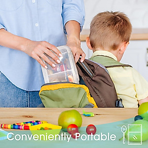 NUTRIUPS 0.6L/20 Oz Glass Meal Prep Containers, Glass Bento Box for adults, Lunch Containers with Lid, Glass Food Container with 2 Split Compartments-Microwavable