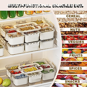 Iosjeude Tackle Box For Snacks, Divided Serving Tray With Lid And Handle, 9 Compartment Portable Snack Platters For Fruit, Nuts, Candy, Entertaining, Party, Picnic, Food Storage for Travel Beach