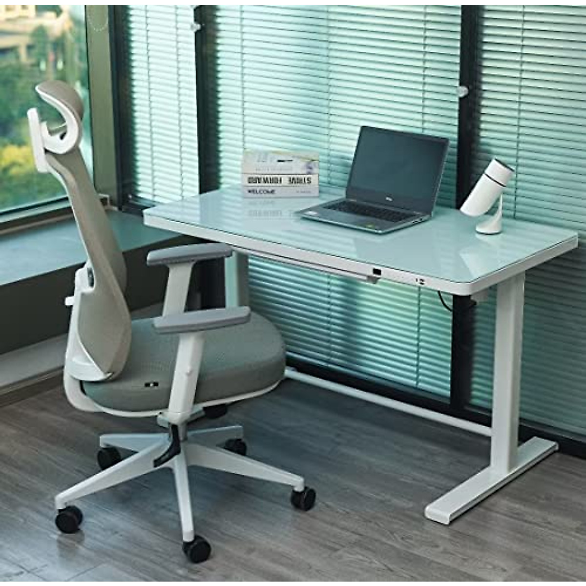 Lanxicat 46x24 Glass Electric Standing Home Office Desks Stand Up Desk Adjustable Height Desk with USB/Wireless Charging/Power Strip with Drawers (2Tempered Glass Top, White Frame, 46x24)