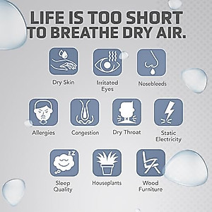 PureGuardian H4810AR Ultrasonic Warm and Cool Mist Humidifier for Bedrooms, Quiet, Filter-Free, 120 Hr, 2 Gal Treated Tank Surface Resists Mold, Pure Guardian Humidifier with Essential Oil Tray