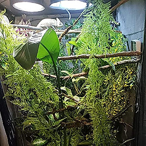 MUYG Reptile Hanging Plants,Bearded Dragon Plastic Flexible Fake Vines Plant Leaves with Suction Cup Lizards Terrarium Habitat Decorations for Geckos Turtles Snake Frog Chameleon(2 Pcs)