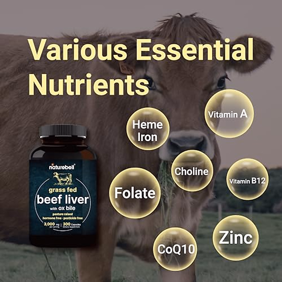 Grass Fed Beef Liver Capsules with Ox Bile, 3000mg Per Serving 300 Count | Natural Iron, Vitamin A & B12 | Supports Energy Production, Digestion & Immunity | Hormone & Pesticide Free