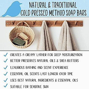 Bluebyrd Soap Co. Lumberjack Pumice Bar Soap for Men | Mens Natural Scrub Bar For Hands, Feet, & Body | Gritty Loofah Soap Bar | Pine Forest Scent Exfoliating Bar Soap (LUMBERJACK)