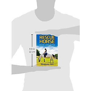 Rescue Horse (High Lane Farm)