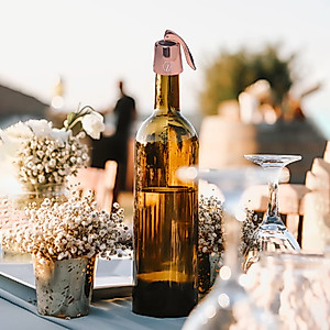 2-PACK Wine Bottle Stopper, Plug with Silicone, Wine Saver, Keeps Wine Fresh, Best Wine Gift For Wine Lovers (Rose Gold)