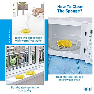 8 Pieces Hermit Crab Sponges Pets Crab Real Sea Sponges Unbleached Water Dish Sea Sponge Provide Nutrients Crab Sponges for Pet Hermit Crab Tank Humidity Supplies