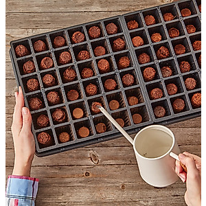 Burpee Self-Watering Seed Starter Tray, 72 Cells