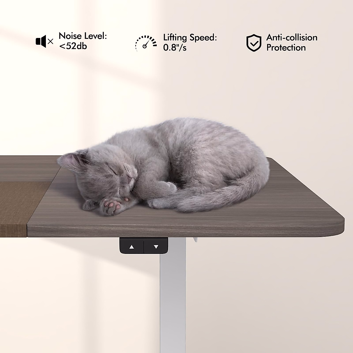 Tangkula 55 x 28 Inch Large Electric Standing Desk, Height Adjustable Sit to Stand Desk with Powerful Motor & Anti-Collision Design, Ergonomic Stand Up Workstation with Metal Frame, Home Office Desk