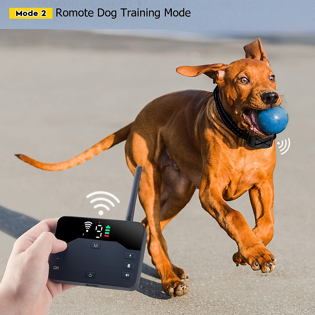 Rivulet Wireless Dog Fence System Electric Dog Fence Training Collar w/Remote 2-in-1, Dog Containment Fence Wireless, Adjustable Vibration & Shock, Rechargeable Pet Fence for Small Medium Large Dogs