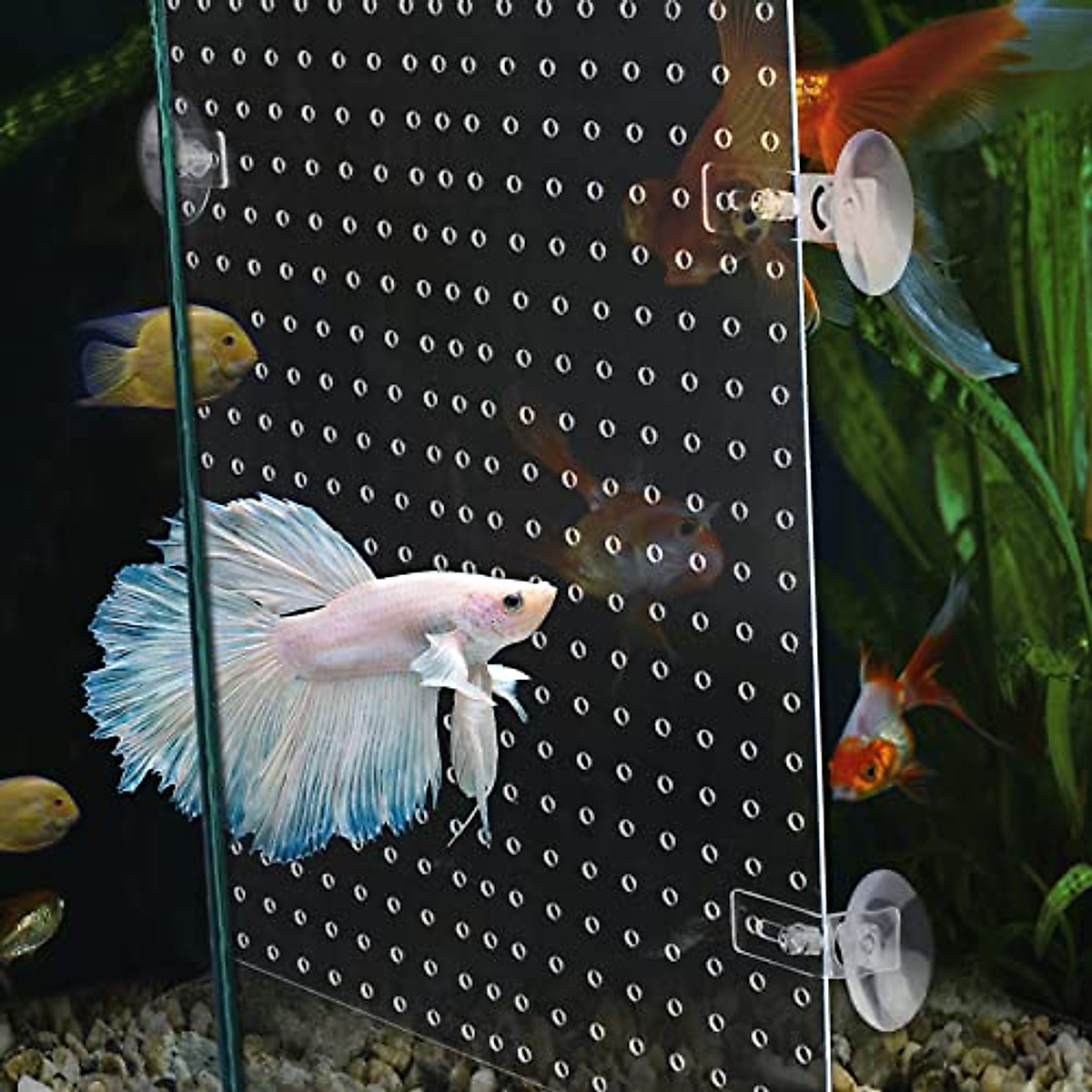 Acrylic Aquarium Fish Tank Divider Clear Kit Fit for All Type Aquarium Divider with Suction Cups (Kit A -1 PC 9.8"x11.8")