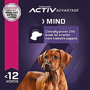 Eukanuba Puppy Large Breed Dry Dog Food, 30 lb