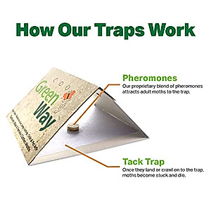 Greenway Clothing Moth Traps (12 Traps) - Moth Traps for Clothes Closets - Alternative to Cedar Balls and Moth Balls for Closet - Pheromone Attractant & Eco Friendly