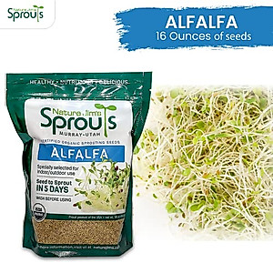 Nature Jims Alfalfa Sprout Seeds – 16 Oz Organic Sprouting Seeds – Non-GMO Premium Alfalfa Seeds – Resealable Bag for Longer Freshness – Rich in Vitamins, Minerals, Fiber