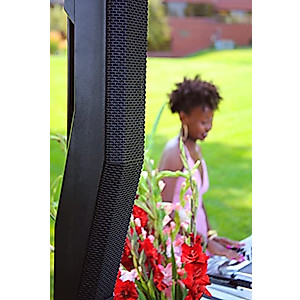 Electro-Voice Evolve 50 1000W Powered Column Speaker Array System, Black