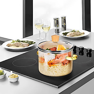 GANAZONO Glass Cooking Pot Glass Stovetop Pot Clear Pot Glass Cookware Glass Saucepan 2300ml
