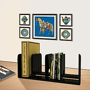 Desktop Book Organizer for Desk - wishacc Book Organizer Office Letter Sorter File Organizer Tabletop Acrylic Book Storage Rack with 4 Vertical Upright Compartments