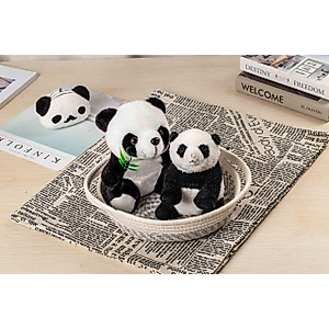 2 pack Small Storage Baskets, Desk Basket for Jewellery&Keys, Cute Rope Baskets, Small Basket Home Storage, Small Table Basket, Organizers and Storage, Small Woven Basket,(Camel & White - Hemp Rope)