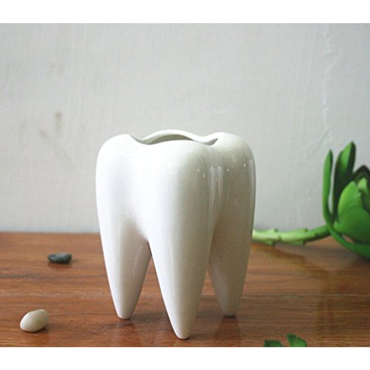 MONMOB Ceramic Tooth Shaped Pen Pencil Toothbrush Holder Pot Succulent Plant Pot Home Office School Dentists Gift (3.9")