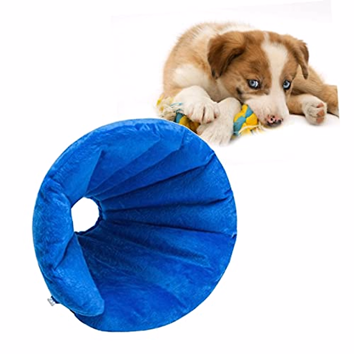 Beavorty 2pcs E Collars for Dogs After Surgery Dog Surgery Collar Dog Cones for Small Dog Cone for Dogs After