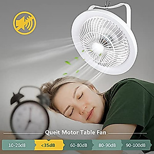 Depuley Portable Table Fan and LED Light, 8" Battery Operated Personal Desk Fan for Hanging or Tabletop Use, 4000mAH Outdoor Small Rechargeable Quiet Camping USB Fans with 3 Speeds for Tent, Office