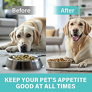 Liquid Collagen for Dogs, Dog Collagen Skin and Coat Supplement, Itch Relief for Dogs and Cats, Daily Collagen Drops Supports Joints and Digestive System Health