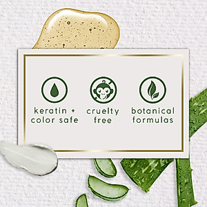 THEORIE Purple Sage Travel Set - Brightening Shampoo & Conditioner minis - Color Repair Formula - Eliminate Brassiness & Yellowing - Suited for Blonde & Highlighted Hair, Bottles 90mL each