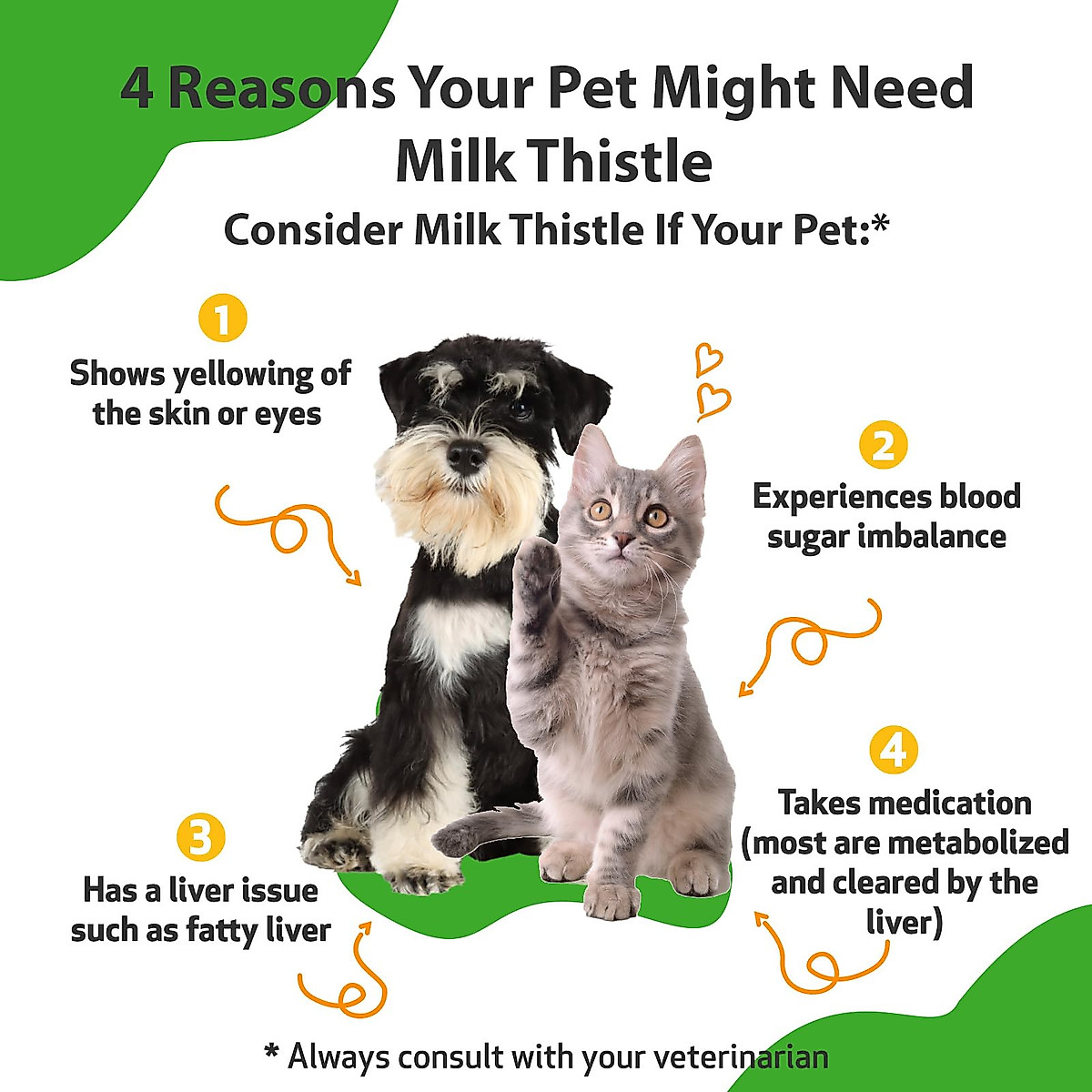 Pet Wellbeing Milk Thistle for Dogs & Cats - Supports Liver Health, Protects Liver - Glycerin-Based Natural Herbal Supplement - 4 oz (118 ml)