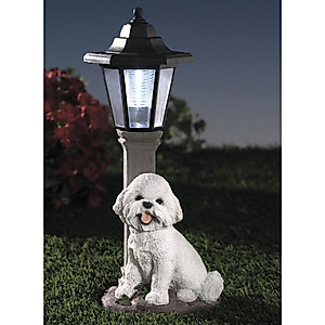 Bits and Pieces-Solar Bichon Lantern-Solar Powered Garden Lantern - Resin Dog Sculpture with LED Light