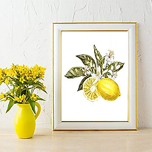 CRPBKU Cool Lemon Fruit Art Print -Yellow Orange Pear Lemon Botanical Canvas Wall Art -Green leaf Sour lemon Poster Perfect for Dining Room Kitchen Decoration,3 Set- (Unframed,8"X10")