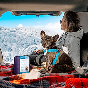 MySimplePetLab Diarrhea Care Dog Kit | Anti-Diarrhea for Dogs to Relieve Loose Stool | Helps Soothe Upset Stomach | Liquid Kaolin, Probiotics and Fiber