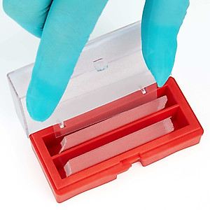 Globe Scientific 1415-10 Cover Glass, 24 x 50mm, No. 1 Thickness (Case of 10)